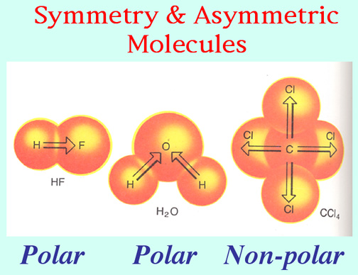 Polar Molecules